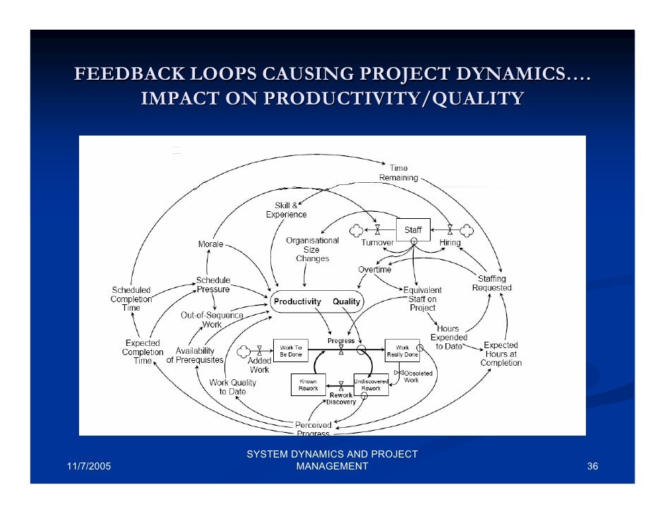 Project Performance, Feedback Loops, Risks, and System Dynamics