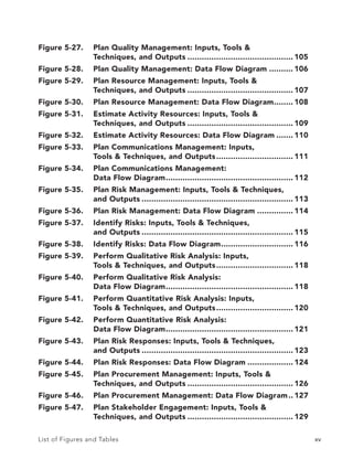 PMI - Process Groups_ A Practice Guide-Project Management Institute ...