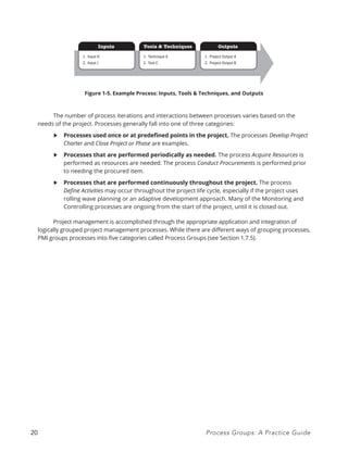 PMI - Process Groups_ A Practice Guide-Project Management Institute ...