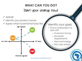 PMI Africa – Moving to incremental iterative approaches for enterprise ...