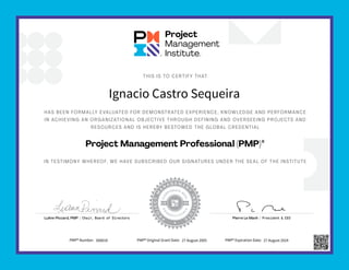 PMI Certification 308818 (Expires 08/2024) | PPT
