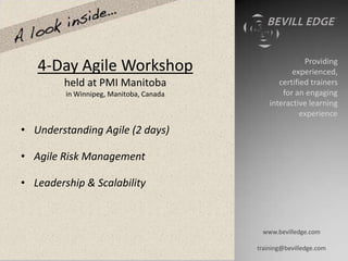 Pmi manitoba fall workshop demo | PPT