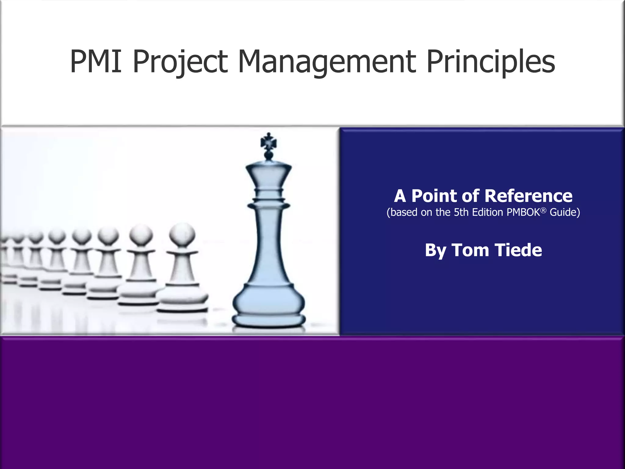 PMI Project Management Principles | PPTX