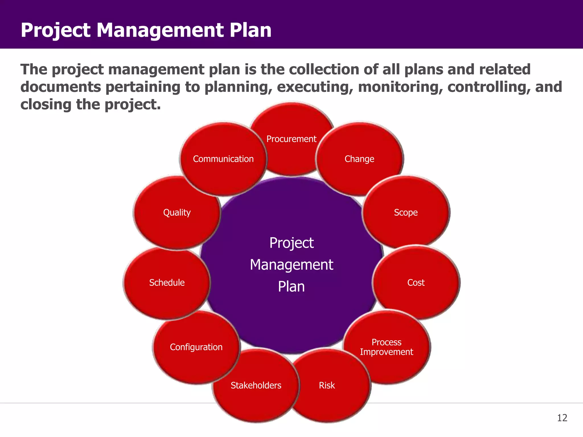PMI Project Management Principles | PPTX