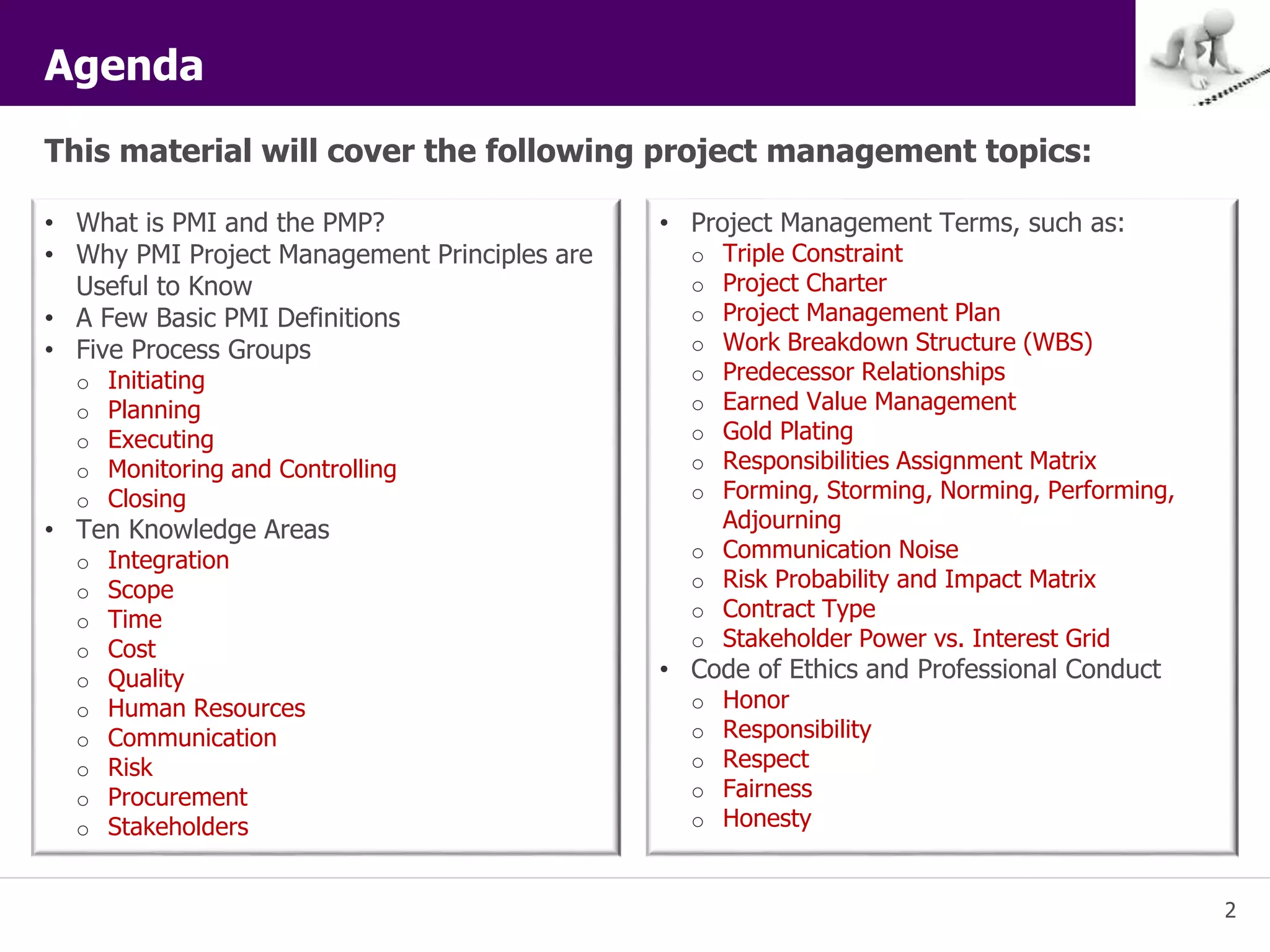 PMI Project Management Principles | PPTX