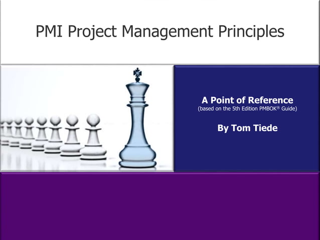 PMI Project Management Principles | PPTX