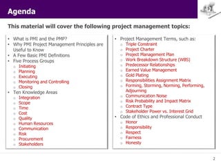 PMI Project Management Principles | PPTX