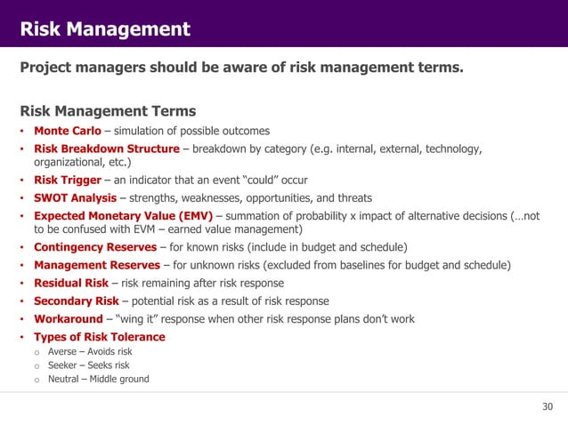 PMI Project Management Principles | PPTX