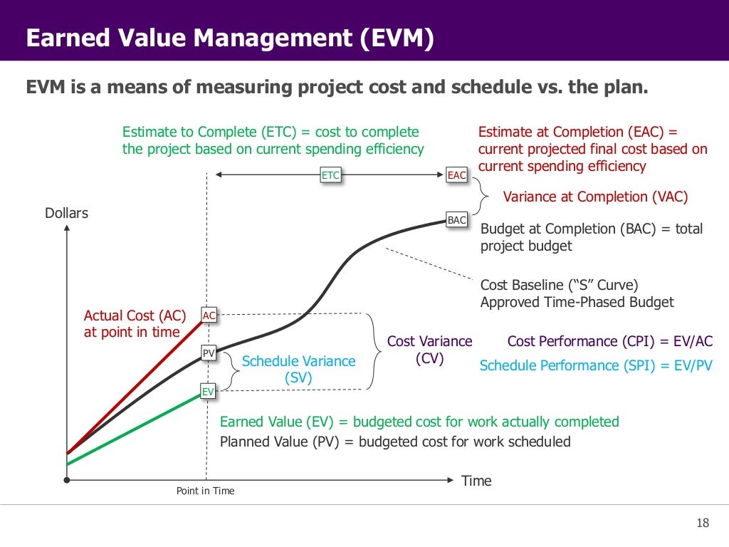 PMI Project Management Principles