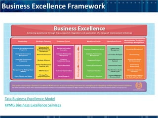 Business Excellence and Project Management | PDF