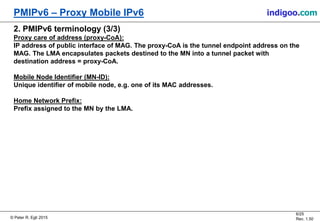 Proxy Mobile IPv6 (PMIPv6) | PDF