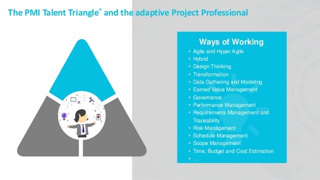 PMI Talent Triangle new.pdf