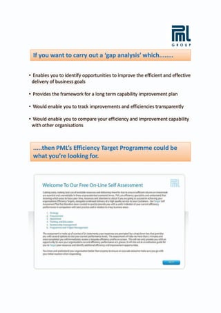 Efficiency Target Programme | PDF