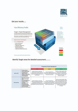 Efficiency Target Programme | PDF