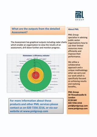 Efficiency Target Programme | PDF