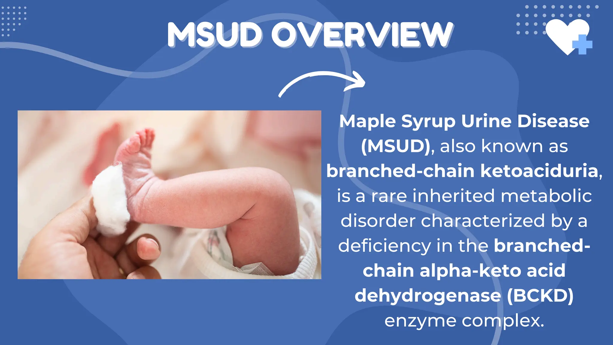 PMLS 2 REPORTING MSUD, Drug Testing, CAH | PDF