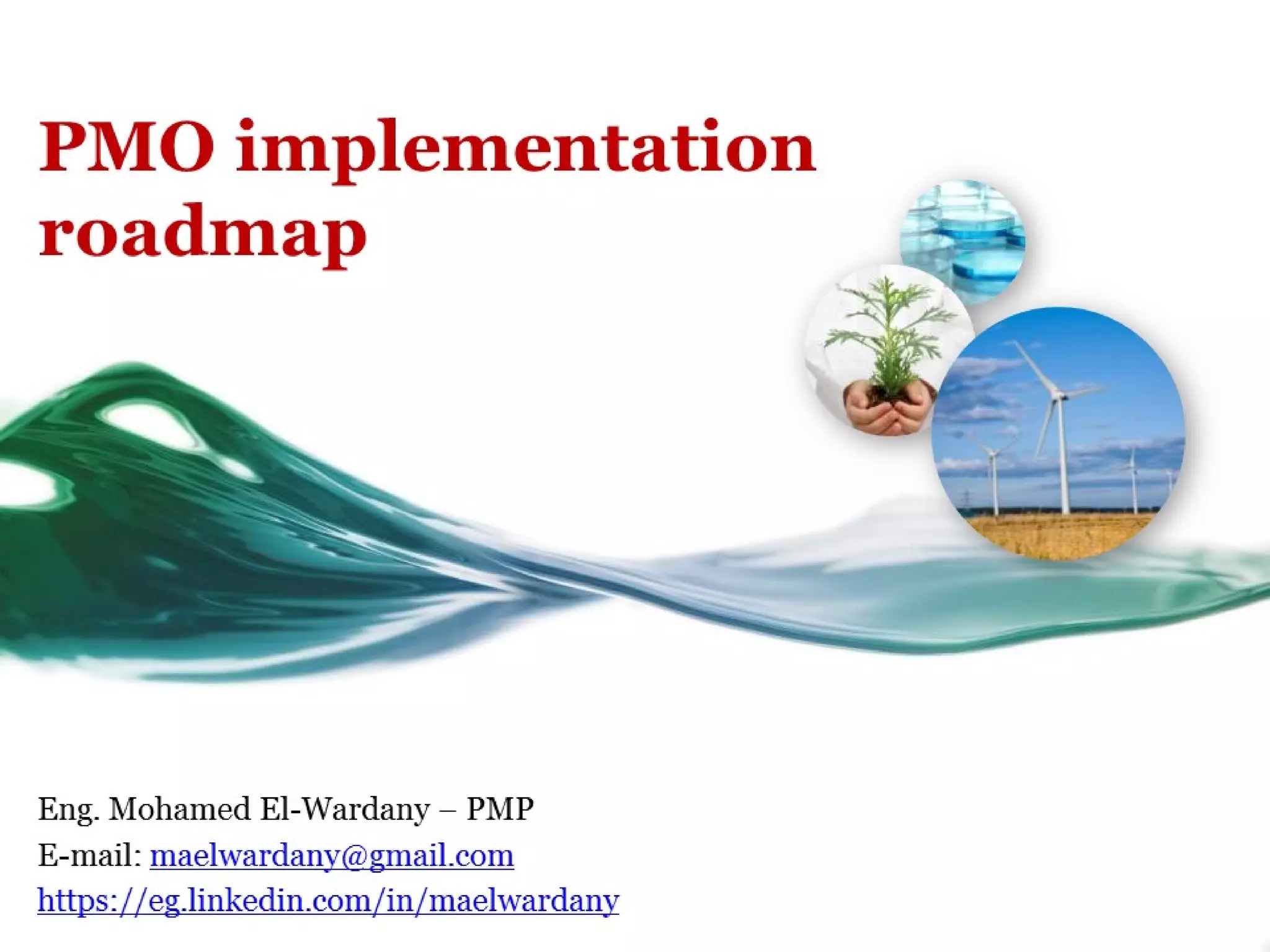 PMO implementation road-map | PDF