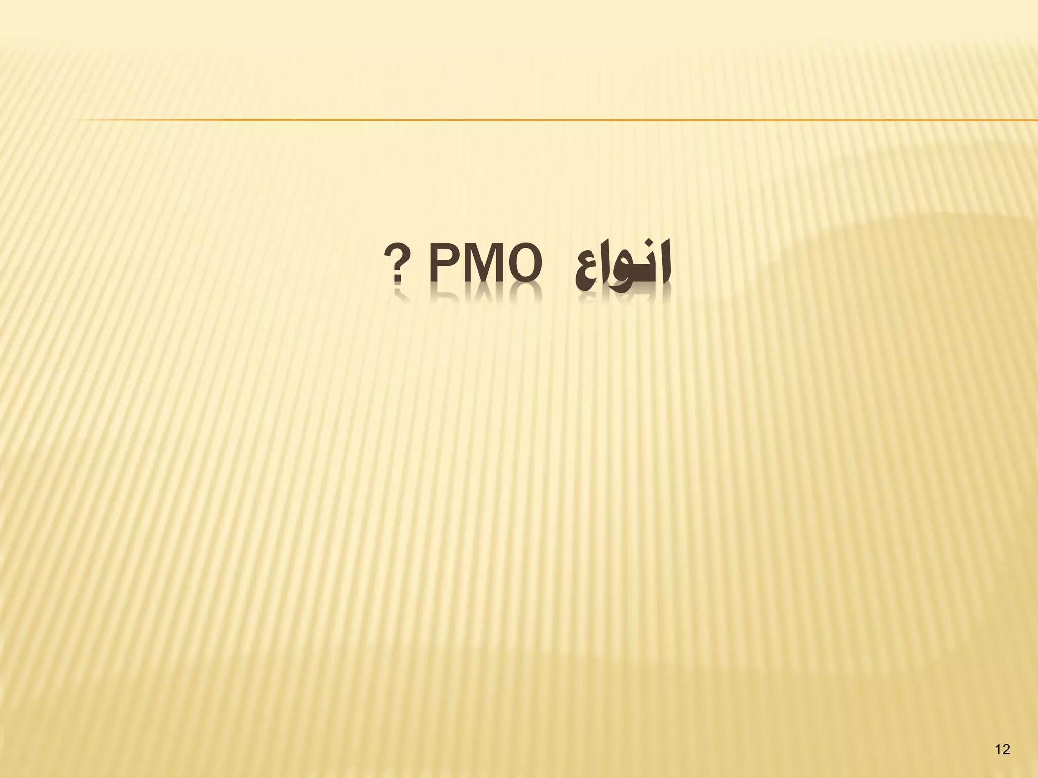 PMO Office.pdf