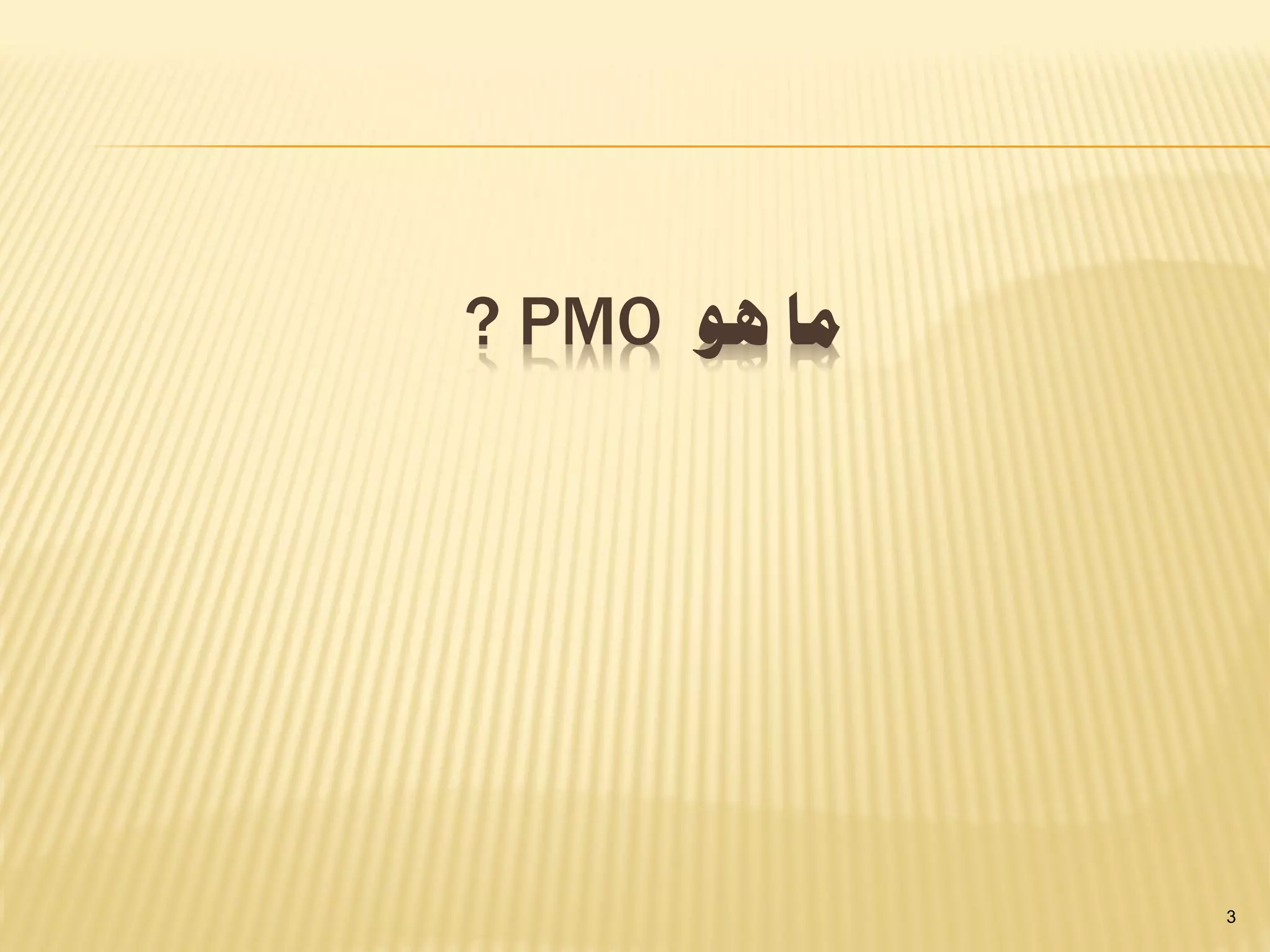 PMO Office.pdf