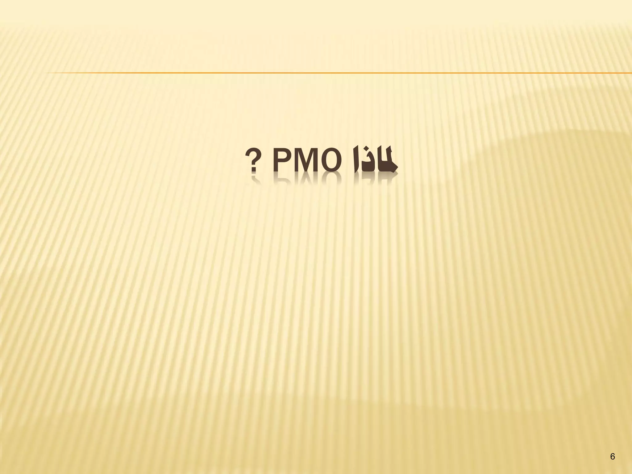 PMO Office.pdf