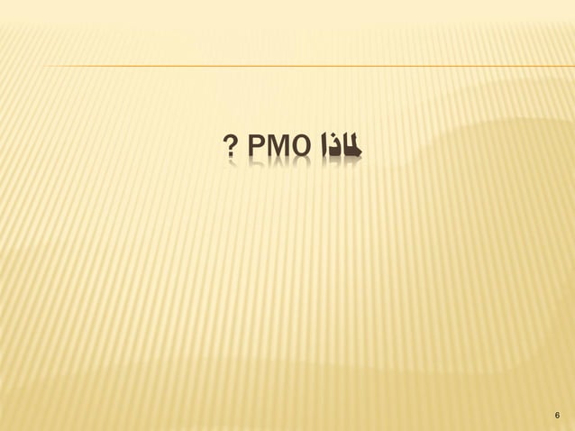 PMO Office.pdf
