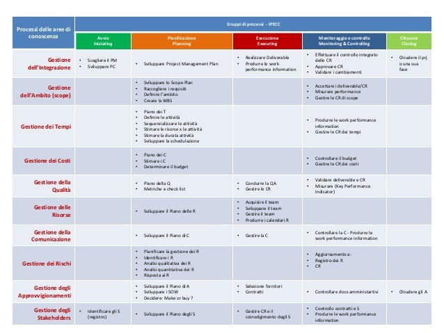 PMP - Generalità, Project Life Cicle e Organizzazioni, Processi e Are…
