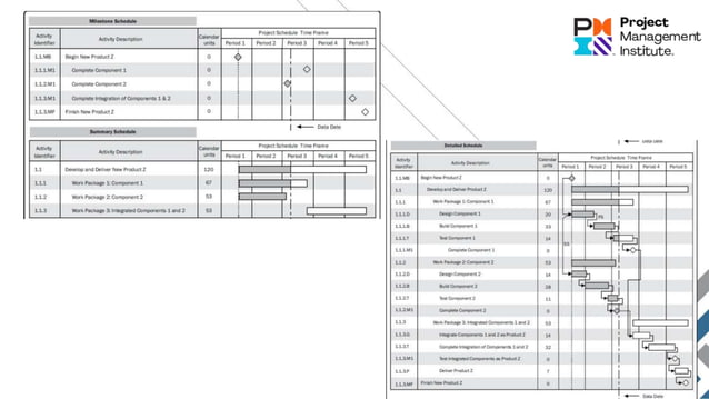 PMP-Schedule Management area | PPT