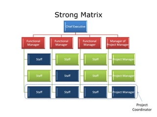 PMP Communication & Human resource | PPT | Human Resources | Business