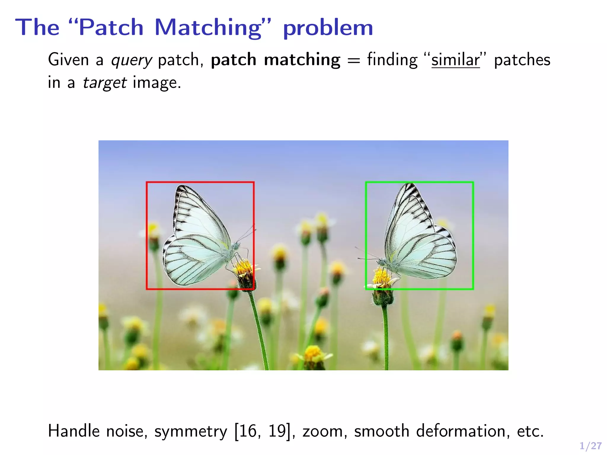 Patch Matching with Polynomial Exponential Families and Projective ...