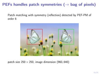 Patch Matching with Polynomial Exponential Families and Projective ...