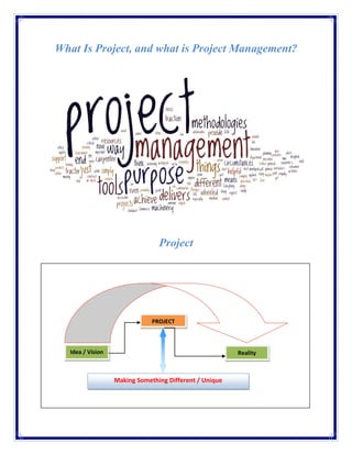 Pmp introduction | PDF