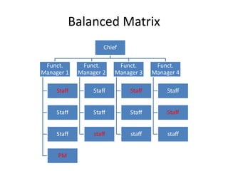 Project / Program / Portfolio Management and Processes Groups | PPTX
