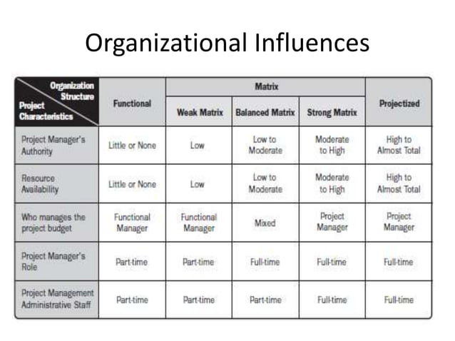 Project / Program / Portfolio Management and Processes Groups | PPTX