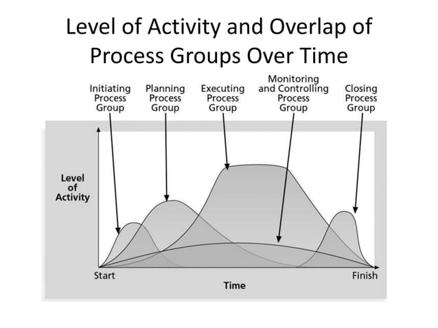Project / Program / Portfolio Management and Processes Groups | PPTX
