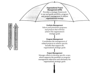 Project / Program / Portfolio Management and Processes Groups | PPTX