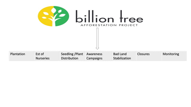 Billion Tree Tsunami Afforestation Project in KP | PPTX | Agriculture ...