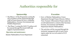Billion Tree Tsunami Afforestation Project in KP | PPTX