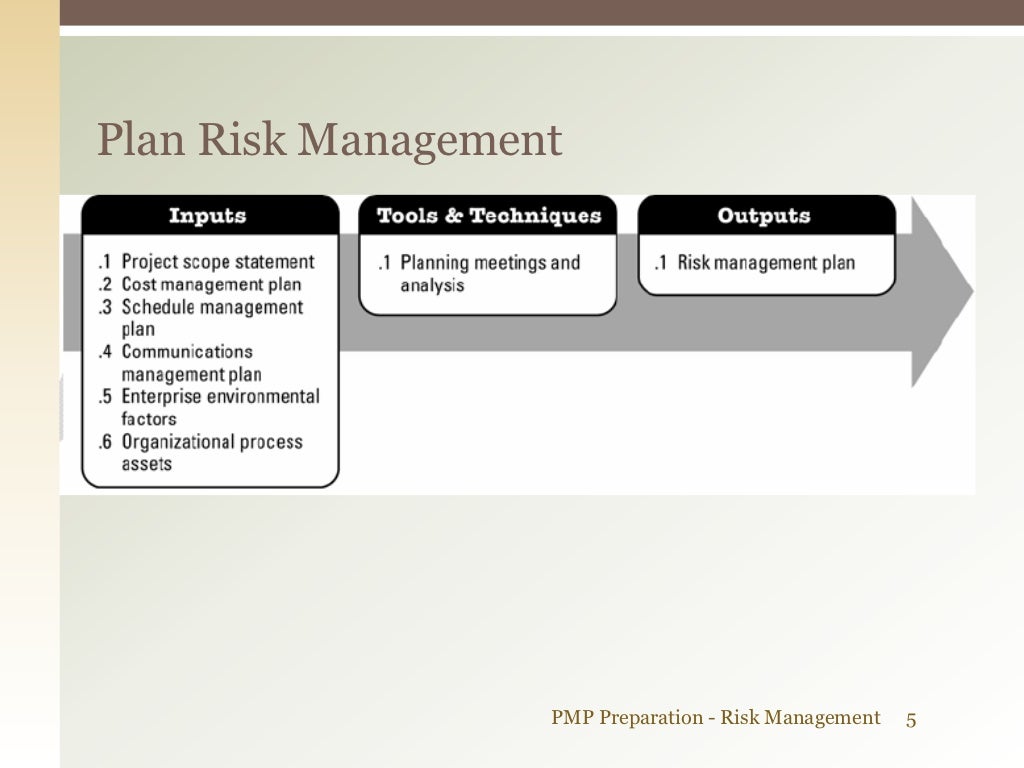 Pmp risk management