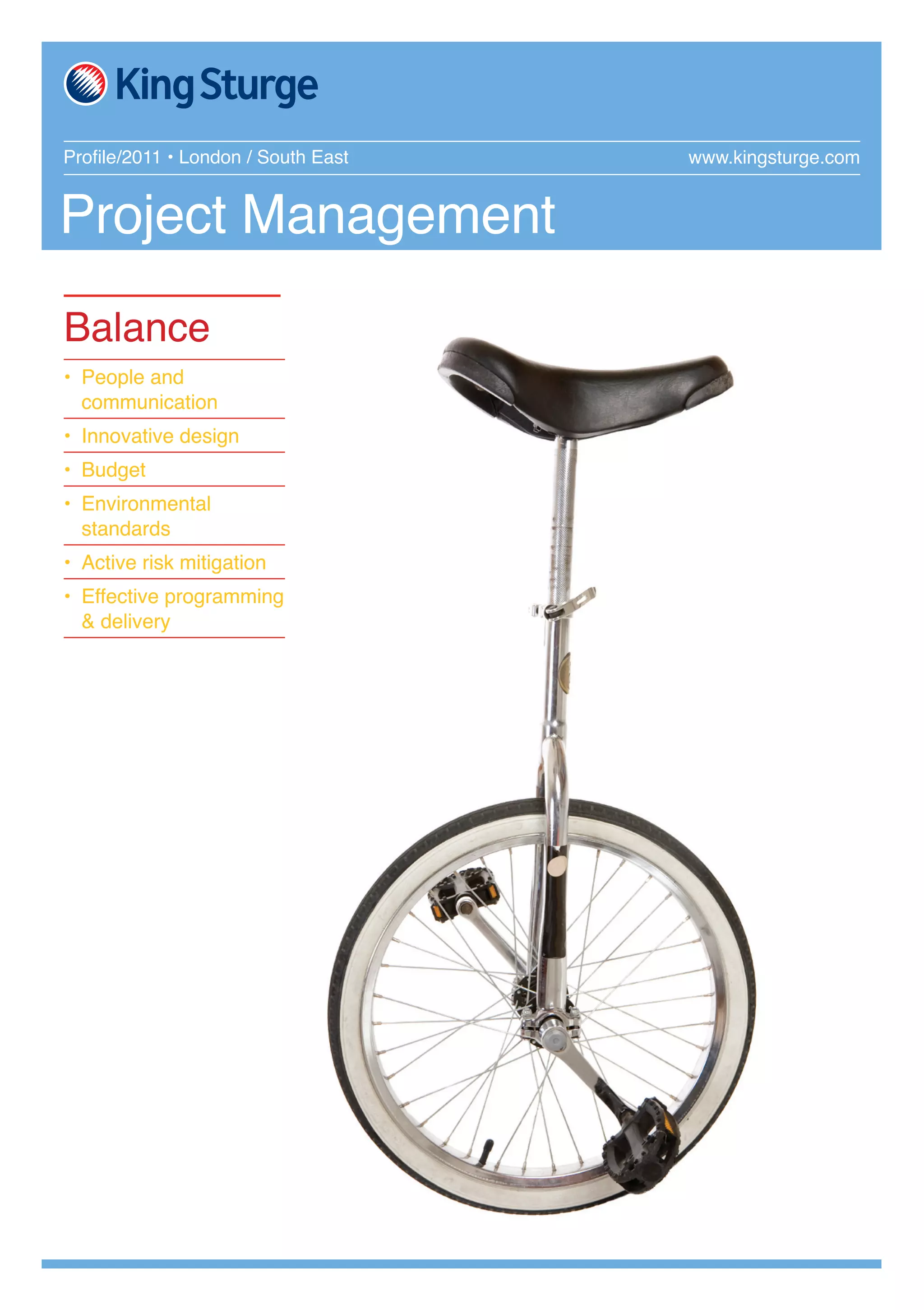 Project Management Profile | PDF