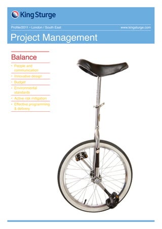 Project Management Profile | PDF