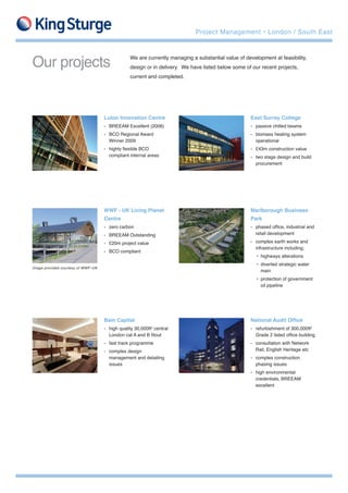 Project Management Profile | PDF