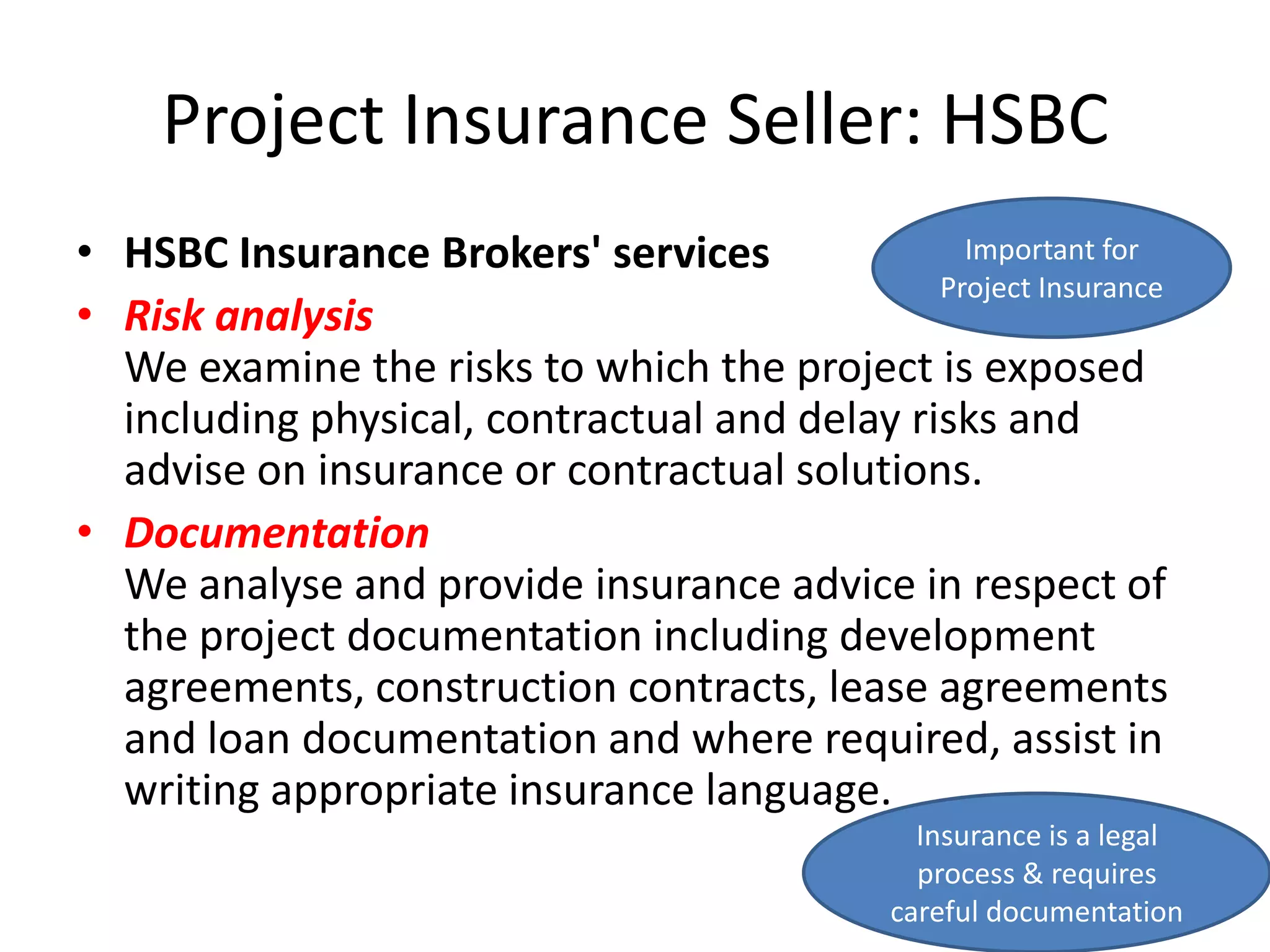 Project Insurance Basics | PPTX