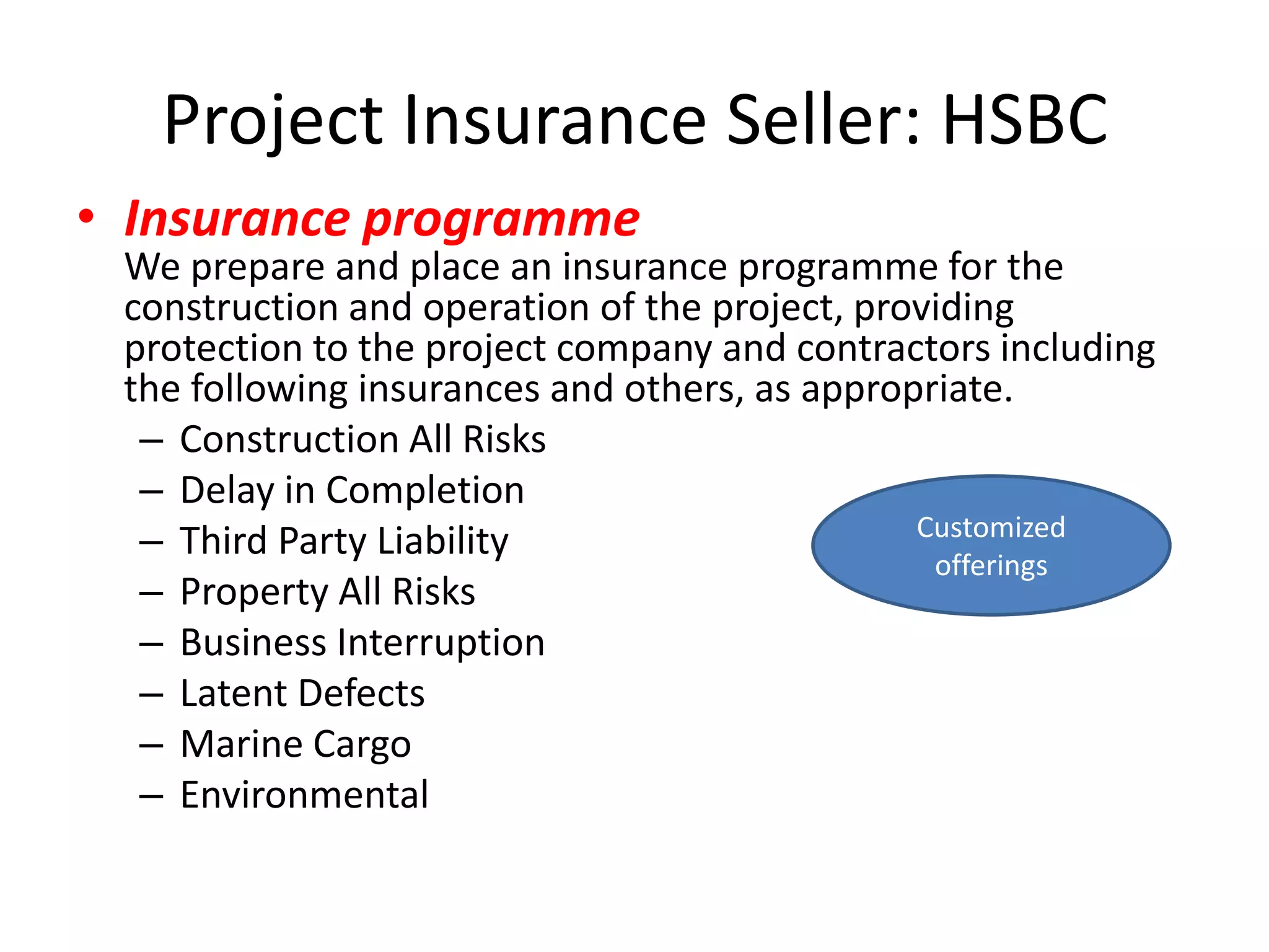 Project Insurance Basics | PPTX