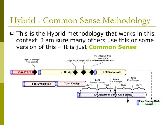 Common Sense Project Management Methodology | PPT