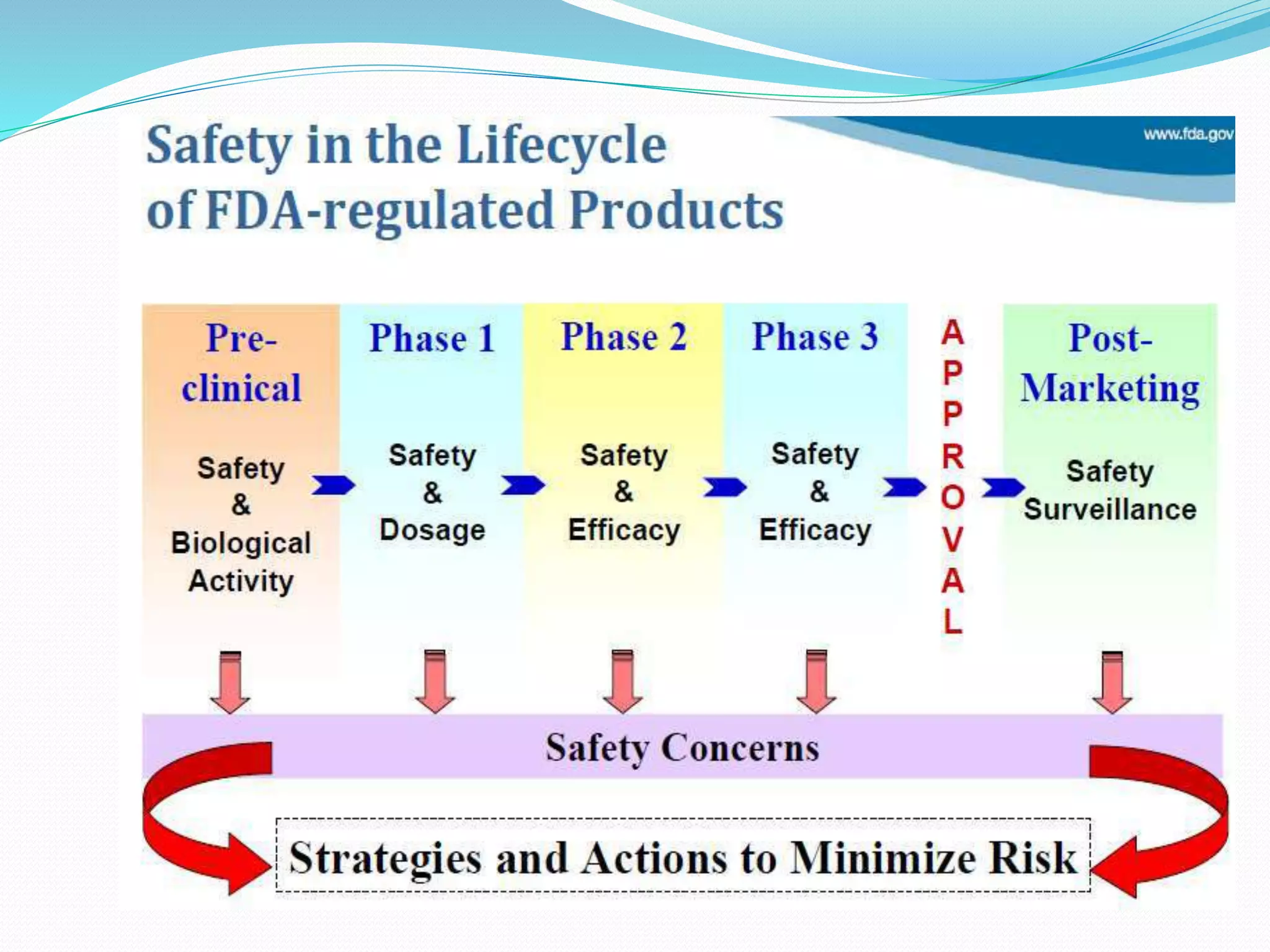 PMS (post marketing surveillance) | PPTX