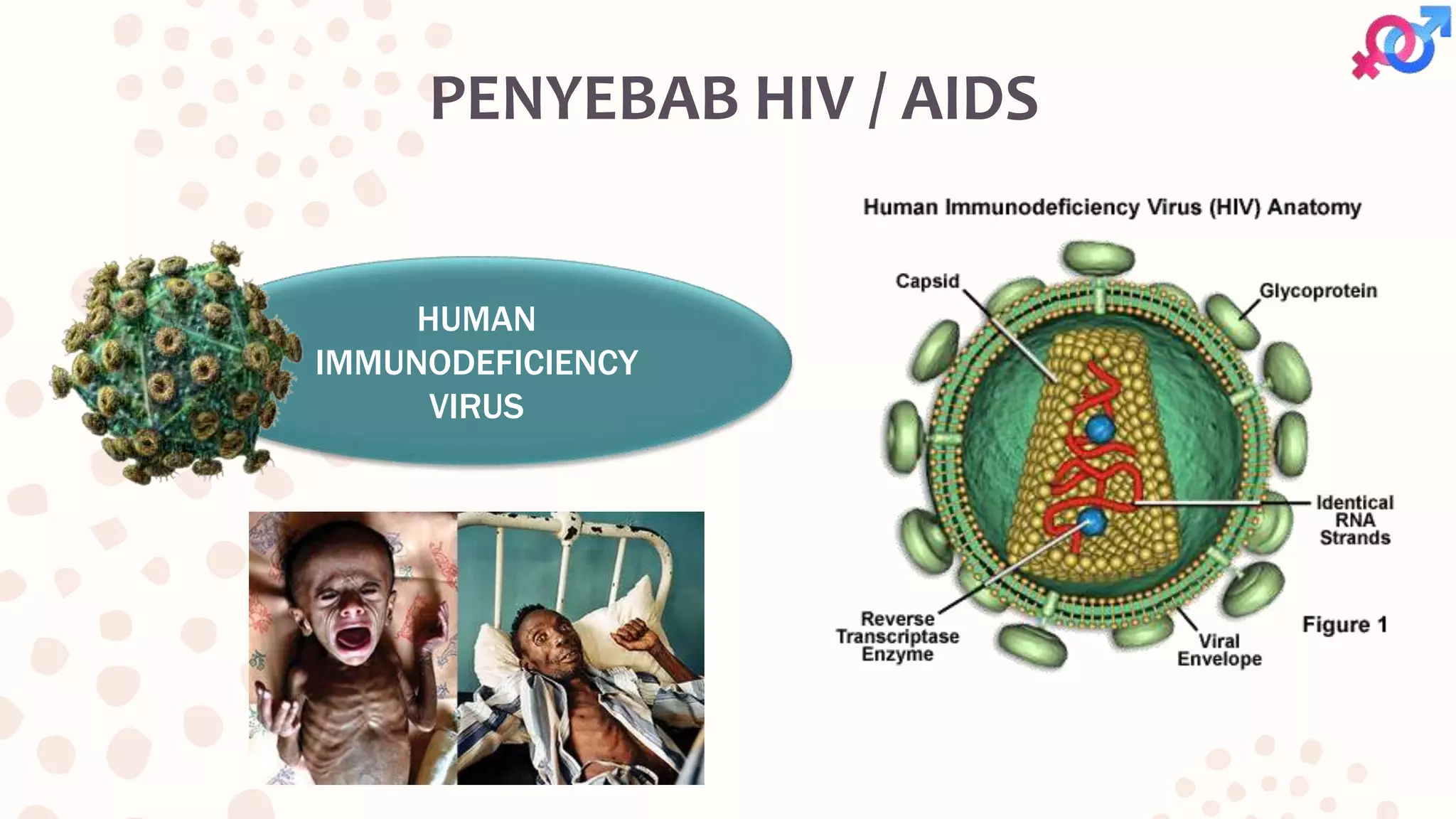 Penyakit Menular Seksual Disebabkan oleh Virus | PPTX