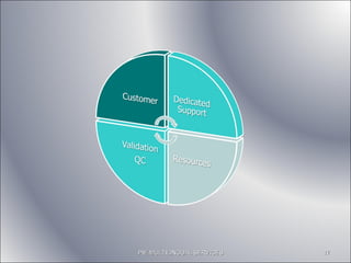 PIE MULTILINGUAL SERVICES | PPT