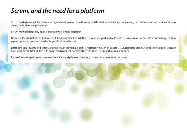 Pm scrum product-flyer | PPT