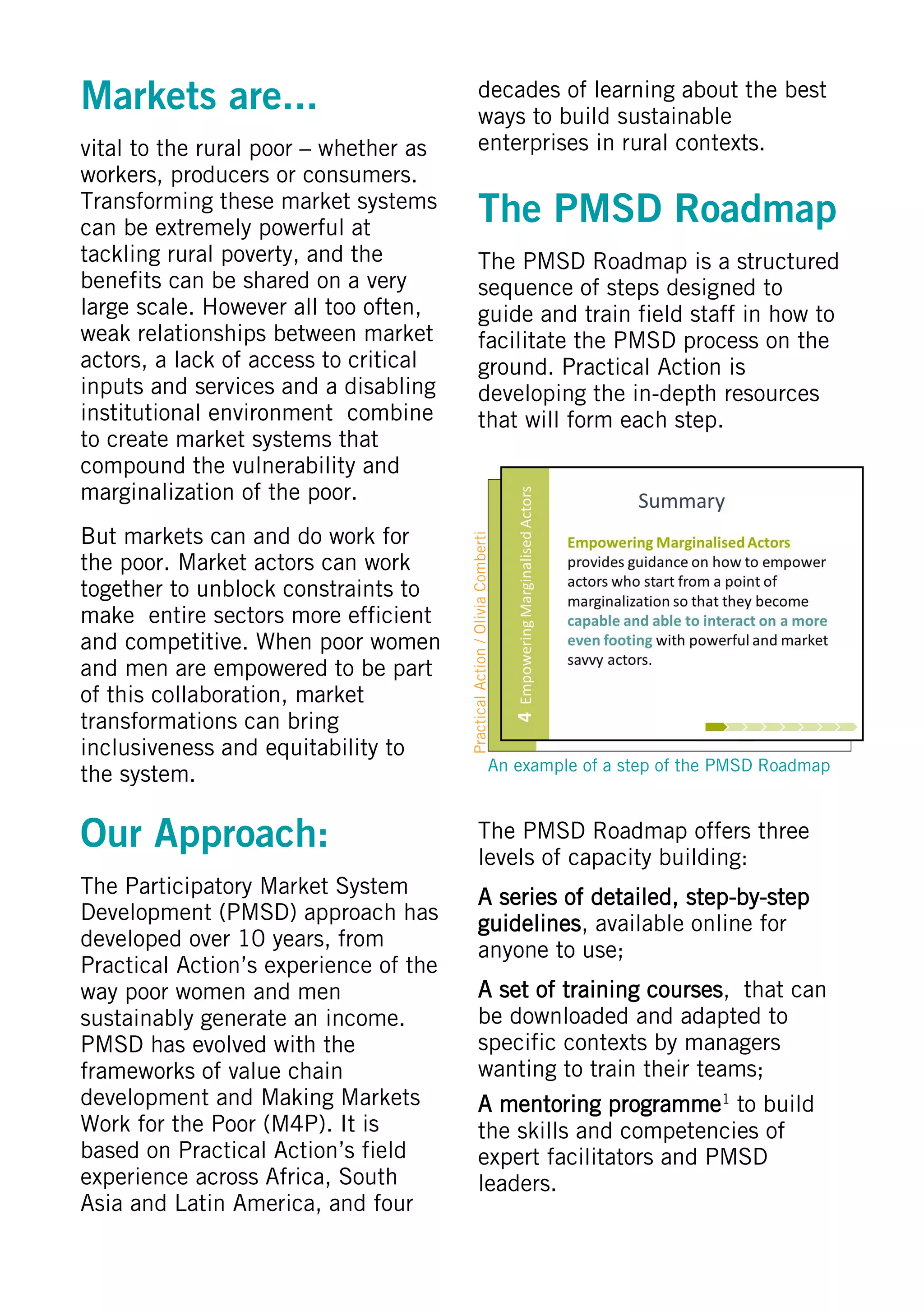 The PMSD Roadmap flyer | PDF