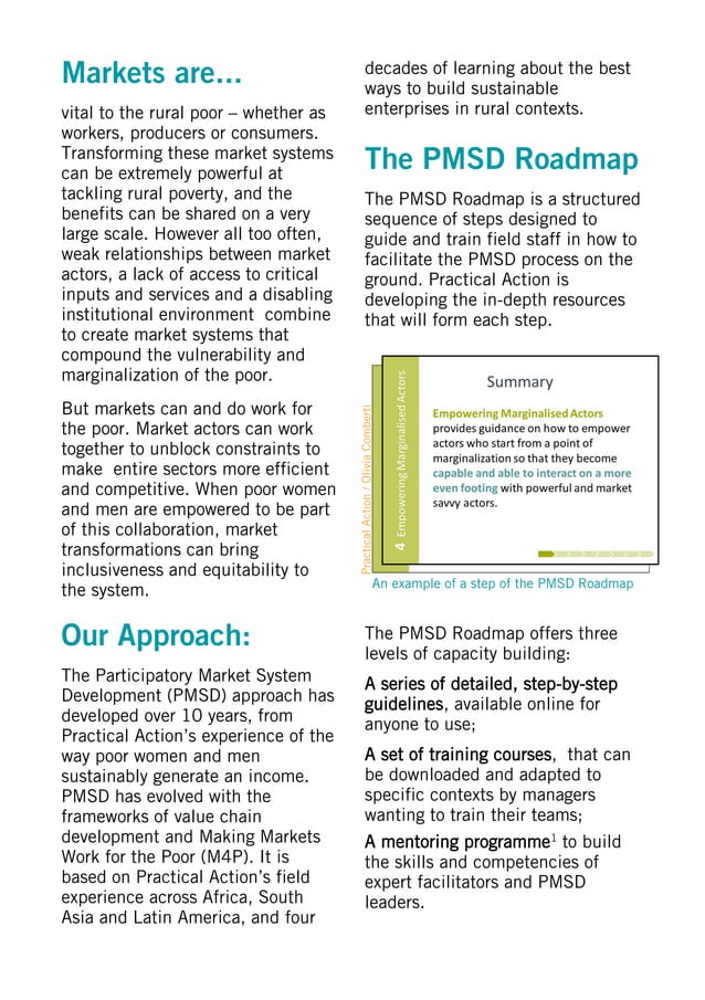 The PMSD Roadmap flyer | PDF